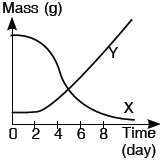 pwhen a seedling grows it depends on the seed leaves for nutrition ...