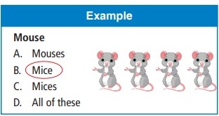 pchoose the correct plural form of the given wordbrimg ...