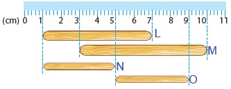 pwhat is the length of the longest stick brimg ...