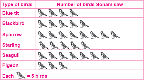 psonam went to a bird sanctuary and saw the different types of birds ...