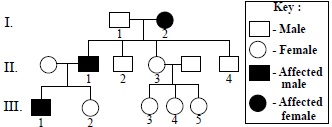 refer to the given pedigree chart showing inheritance of fused ear lobe ...