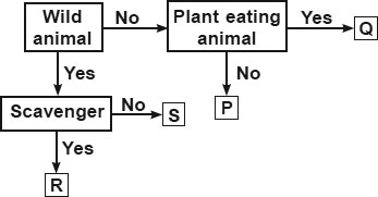 pb refer to the given flow chart and select the correct option regarding itb brimg srchttpwwwsofolym