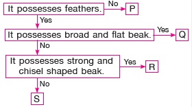 pstudy the given flow chart brselect the incorrect statement regarding ...