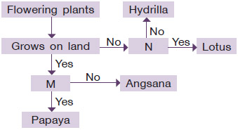 the given flow chart can be used to distinguish between some types of ...