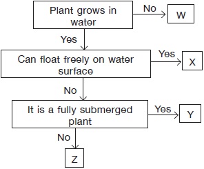 prefer to the given flow chart and select the correct option regarding itbrimg srchttpswwwsofolympia