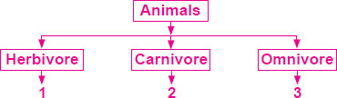 Omnivores Herbivores Carnivores Chart