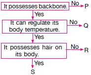 refer to the given flow chart and select the option which correctly identifies p s a b c d
