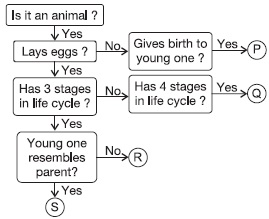 prefer to the given flow chart and select the correct option regarding p q r and s brimg srchttpsww