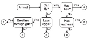 pstudy the given flow chart and select the correct match of any three ...