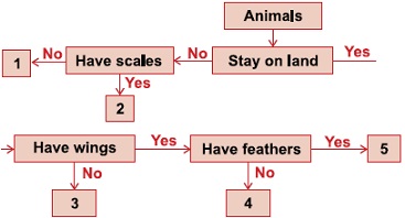 pstudy the given flow chart carefullybr img ...