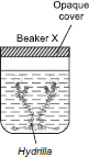 p four identical beakers w x y and z were set up as shown below and ...