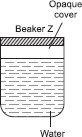 four identical beakers w x y and z were set up as shown below and ...
