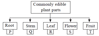 prefer to the given flow chart and select the correct option regarding p q r s and t brimg srchttps