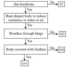 prefer to the given flow chart and identify i iv brimg ...
