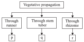 study the given classification chart showing different modes of ...