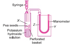 p the given diagram shows a respirometer that is used to measure ...
