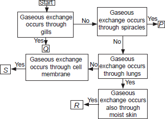 p study the given flow chart about respiratory structures in different organisms identify the organi