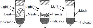 three test tubes are set up as shown the indicator used here changes ...
