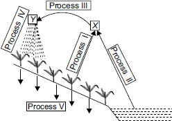 prefer to the given diagram showing a natural cyclic processbrbr img ...