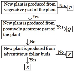 prefer to the given flow chart brimg ...