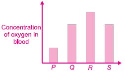 pthe given bar graph shows the concentration of oxygen in blood samples ...