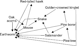 refer to the given food web if a non biodegradable insecticide known as ...