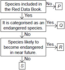 prefer to the given flow chart and select the correct option regarding p q r and sbr img srchttpswww