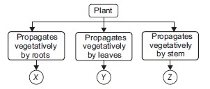 pstudy the given flow chart and select the option that correctly ...