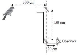 a mirror periscope is used to observe a bird as shown here how far away ...